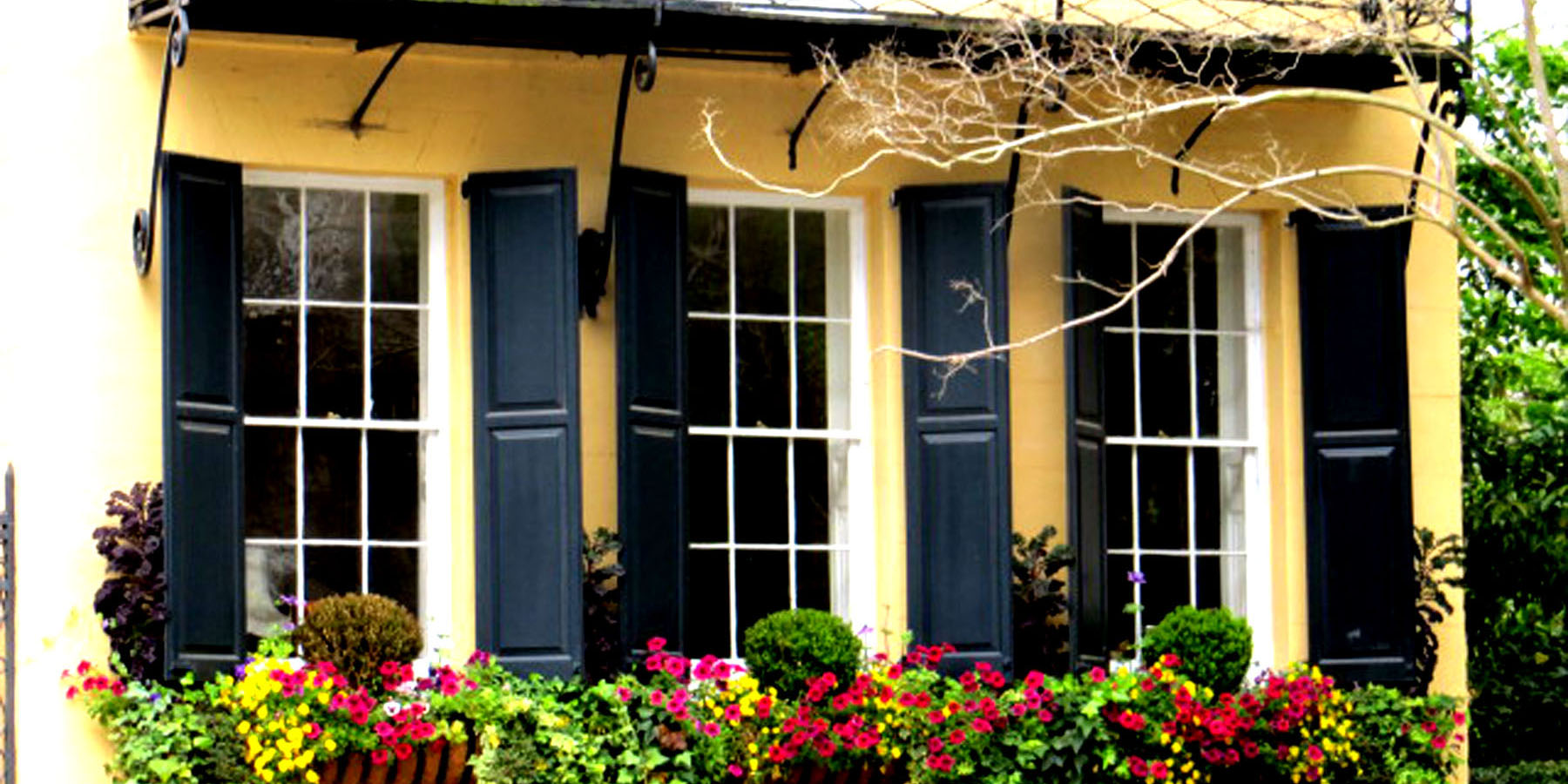 The Colors of Charleston - Explora Laura