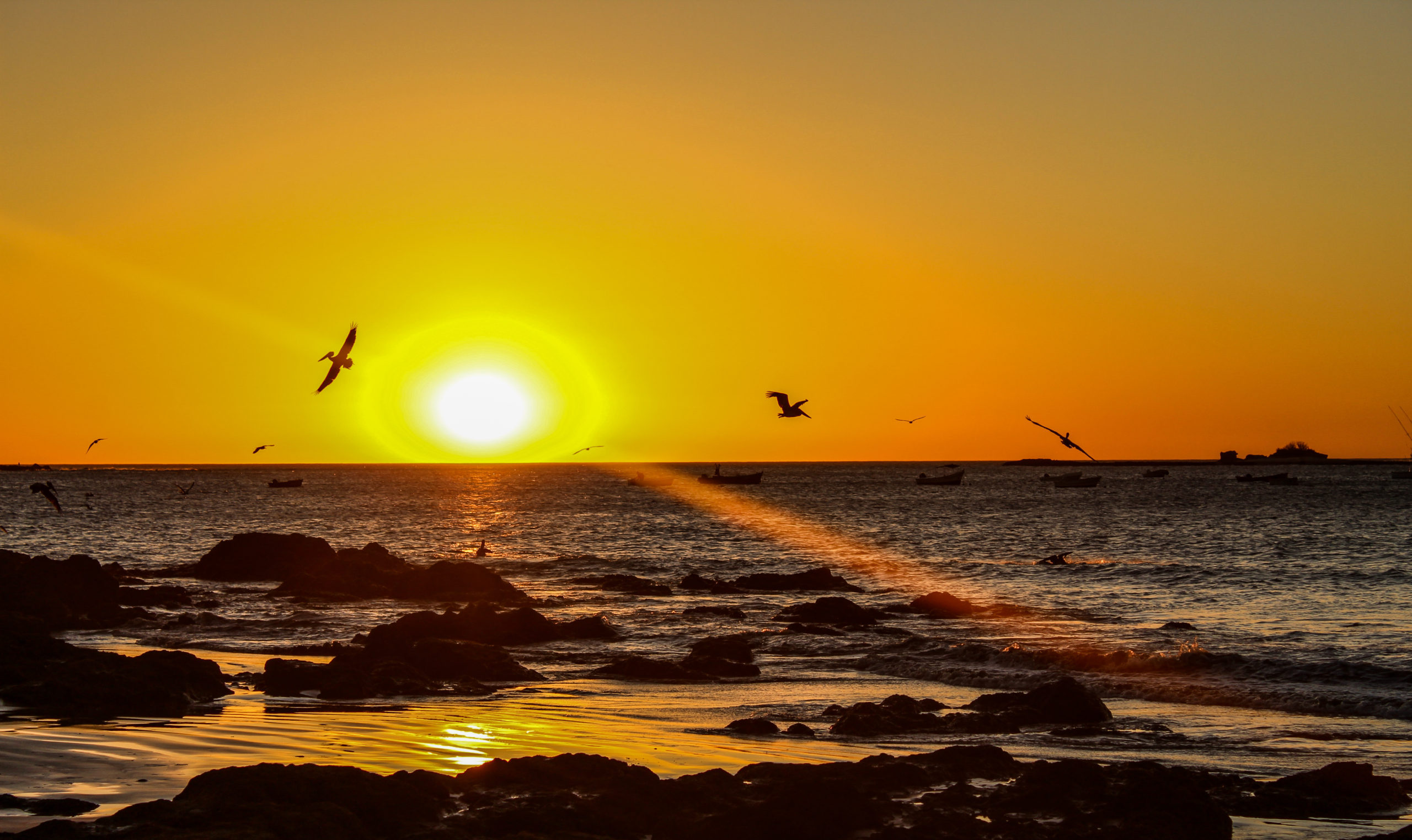 9 Quick Days Exploring Costa Rica’s Nature - Explora Laura